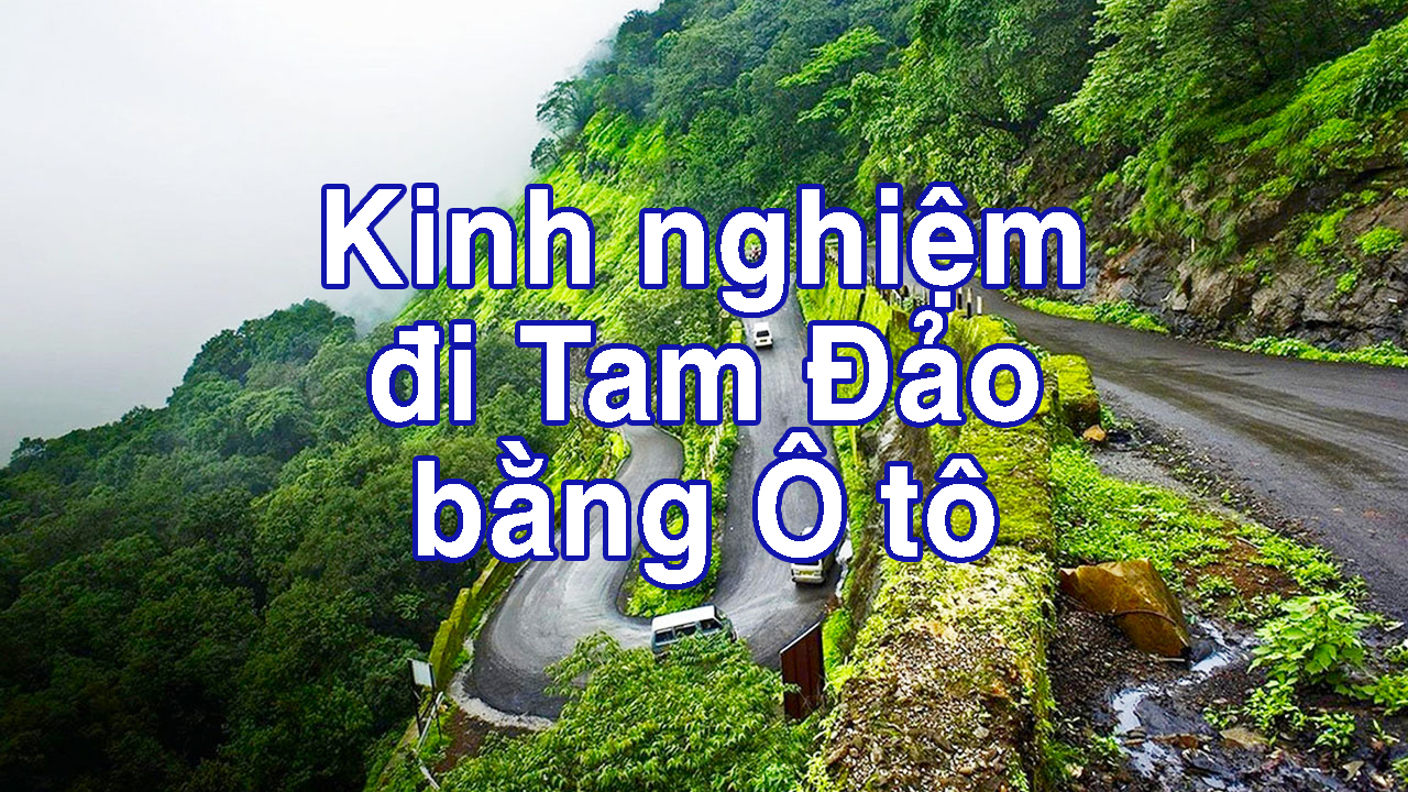 Kinh nghiệm đi Tam Đảo bằng ô tô | Venus Hotel Tam Đảo
